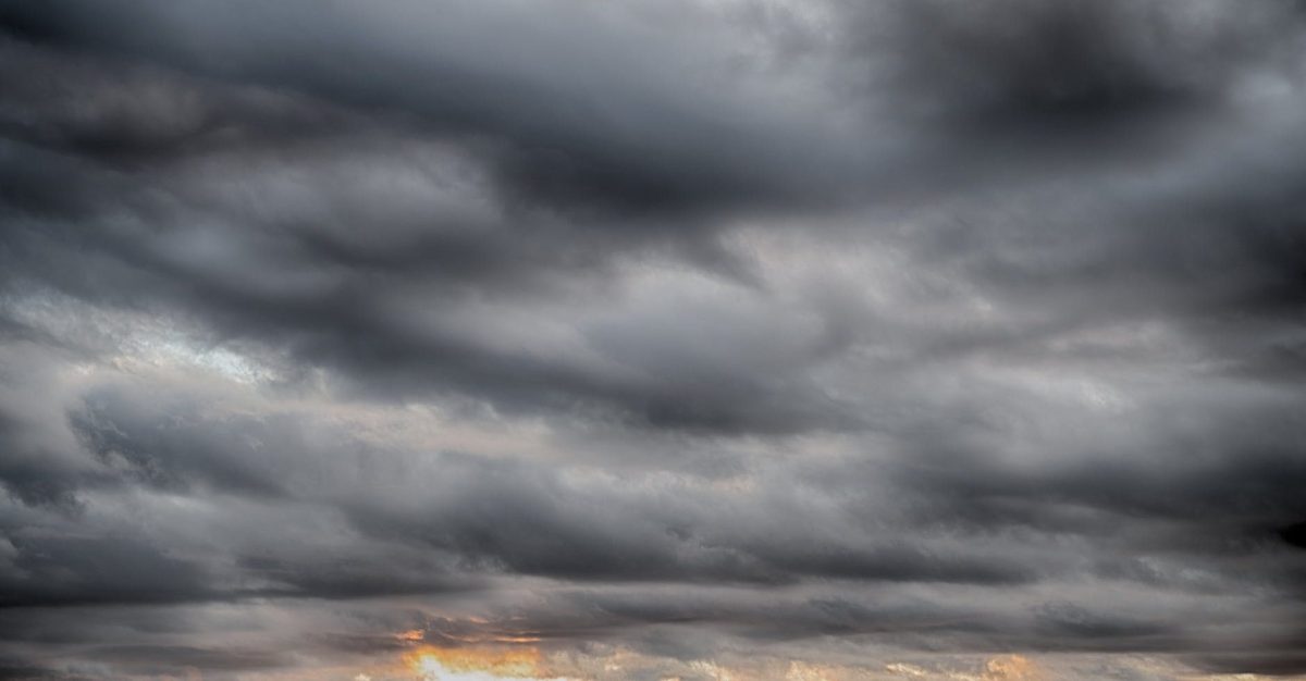 Moessons worden natter!? – Marc groet